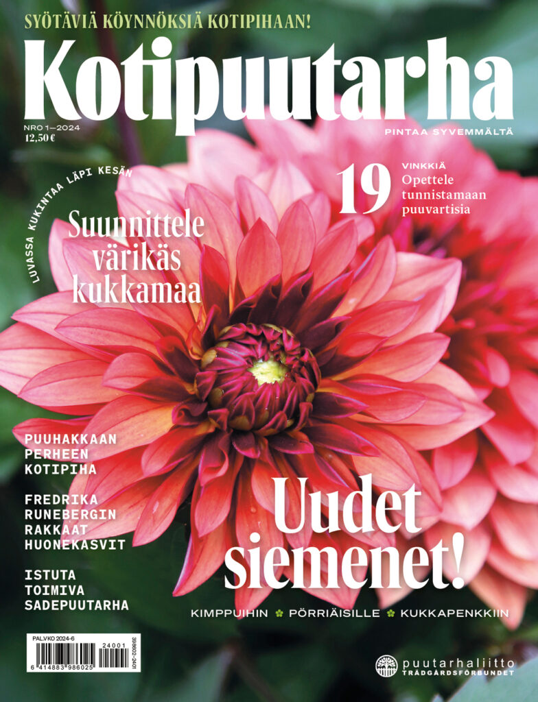 Uusin lehti - Kotipuutarha