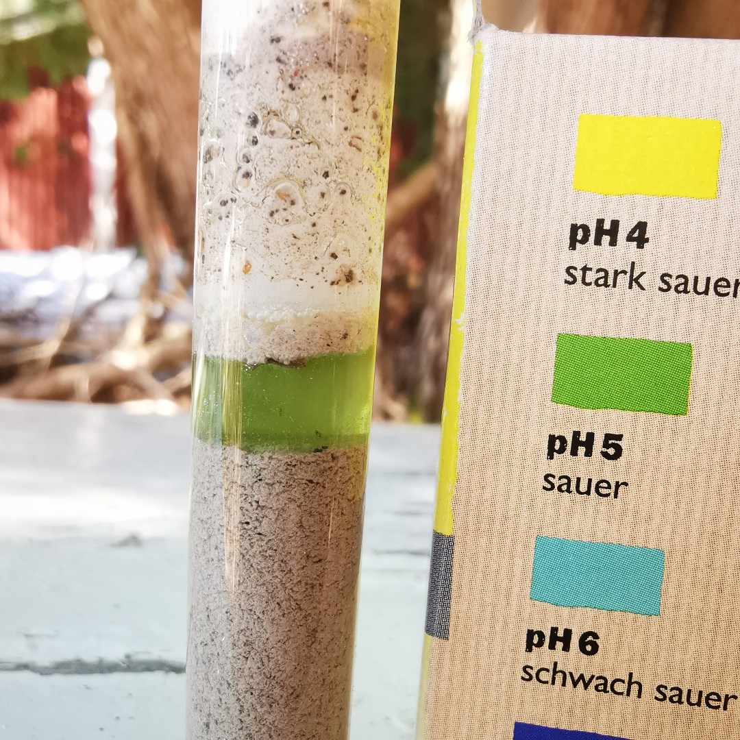 Niityn pH:n mittaus kotikonstein - Kotipuutarha