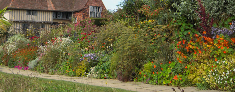 Perennapenkin suunnittelu - Kotipuutarha