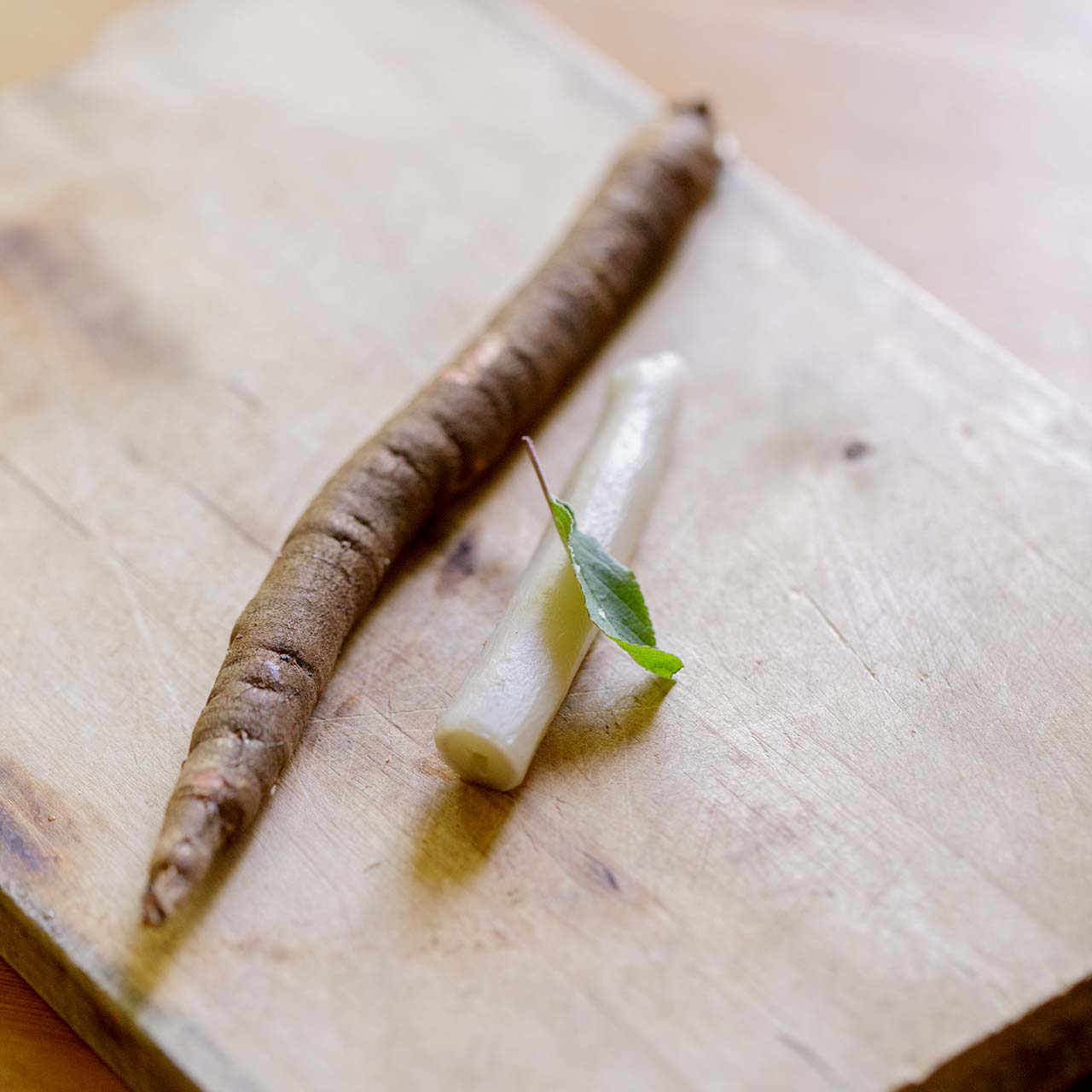 Juurekset arkistot - Kotipuutarha