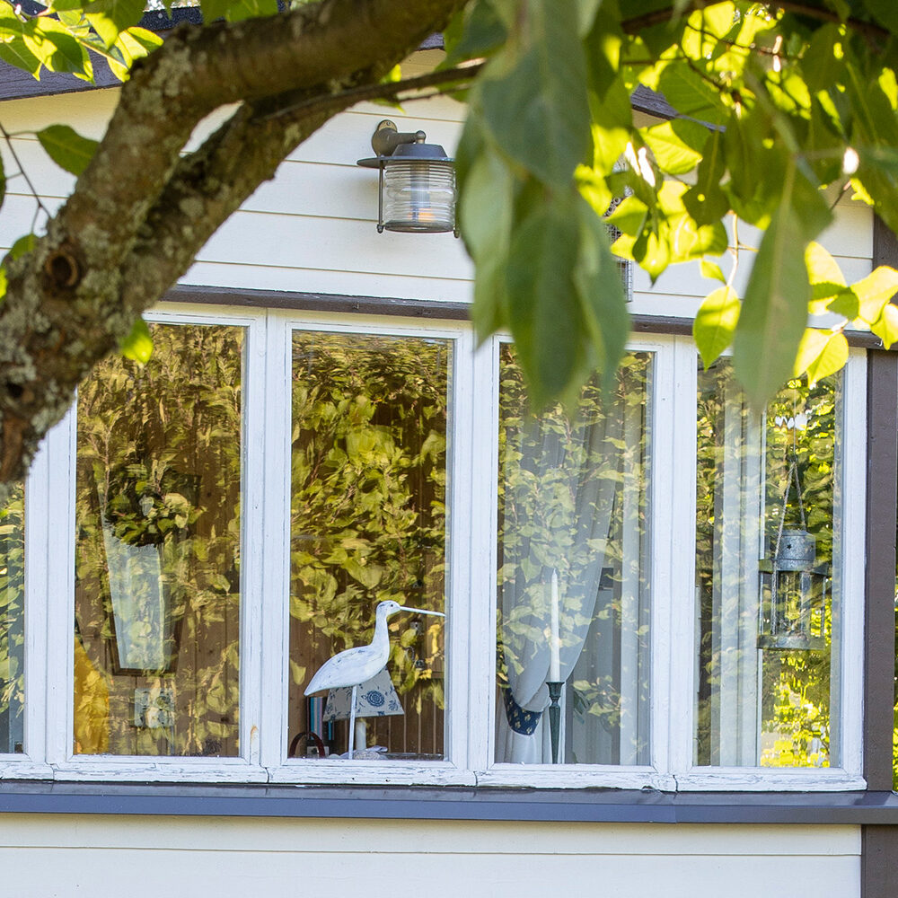 Timjami - Kotipuutarha